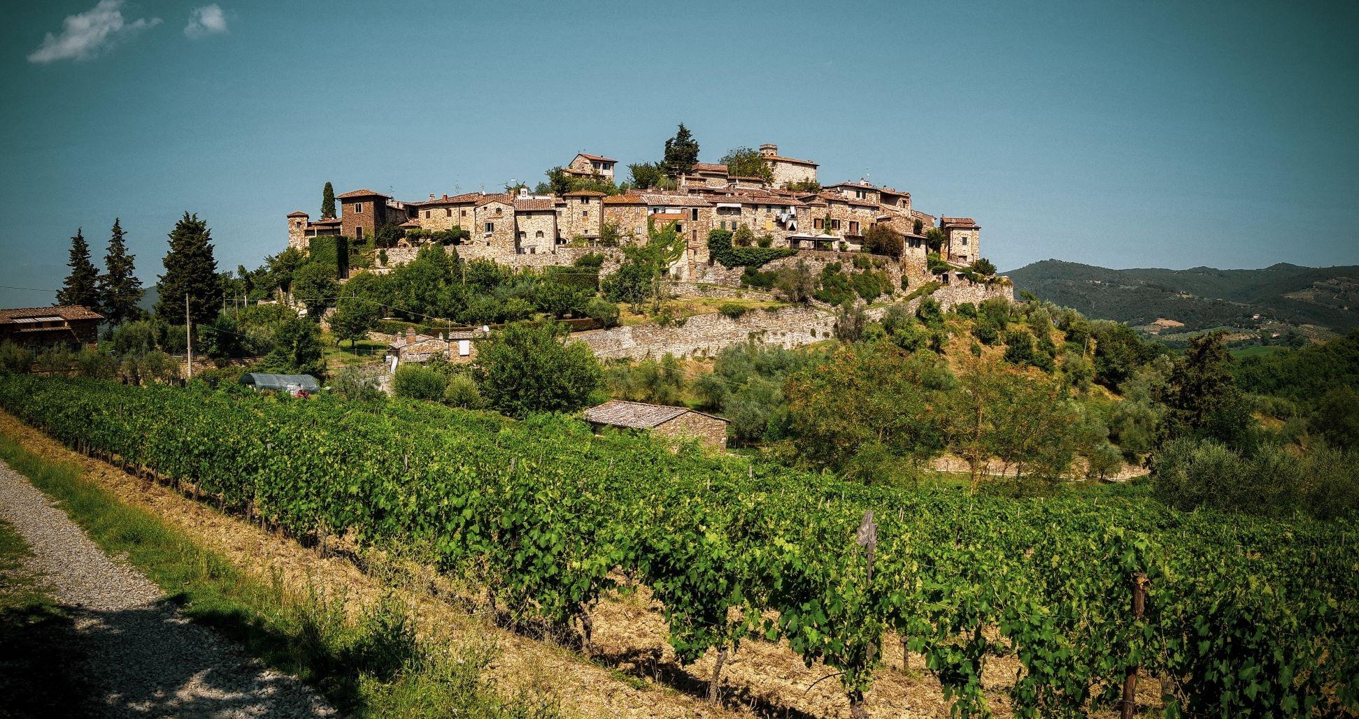 Italian Wines