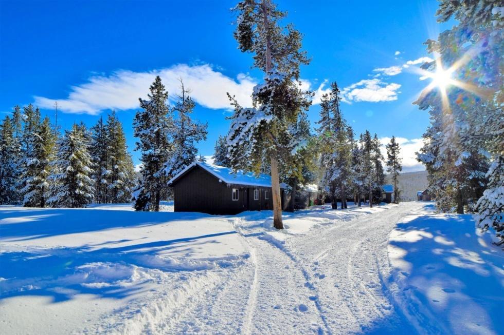 Winter Wonderland: 10 Captivating Photos of Yellowstone National Park ...