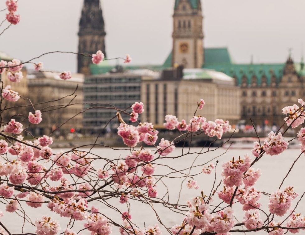 Where Can You See The Best Cherry Blossoms In Europe? –Live Fun Travel