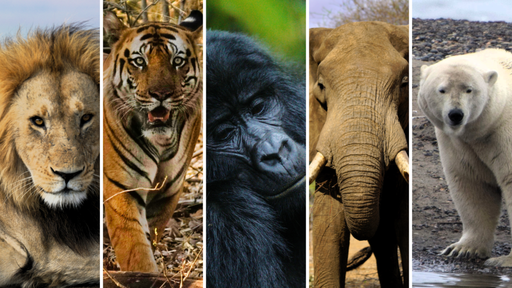 Live Fun Travel - Adventure Travel Blog for Couples